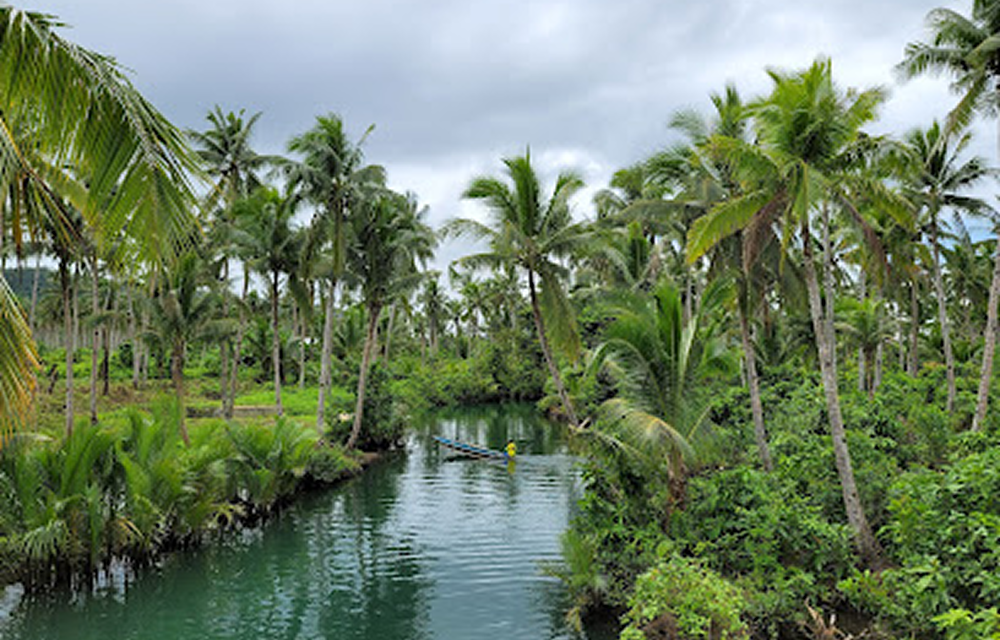 Surigao Royal Regency Suites Hotel booking – Official website.